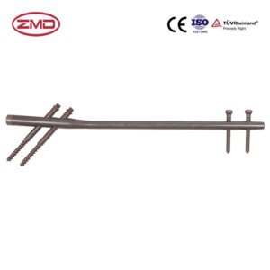 Femoral Gamma Lockable Intramedullary Nail - Pharmaceutical Company
