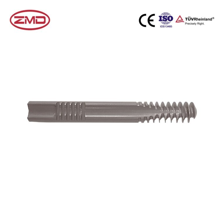 Intergrated Interlocking Lag Screw - Pharmaceutical Company