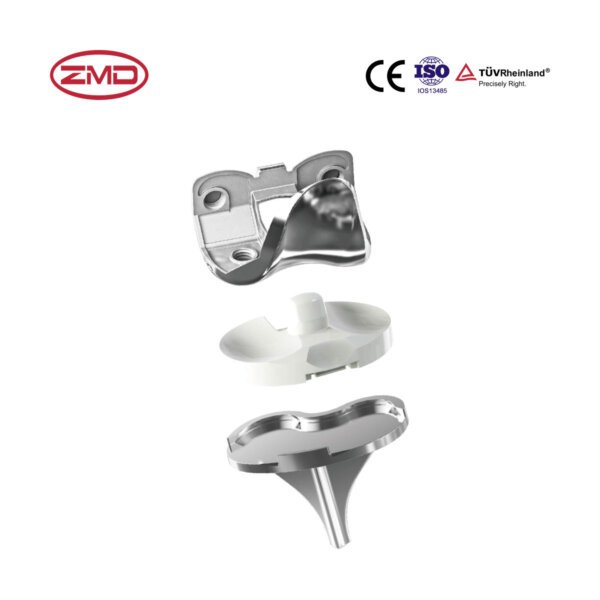 Cemented Acetabular Cup - Pharmaceutical Company