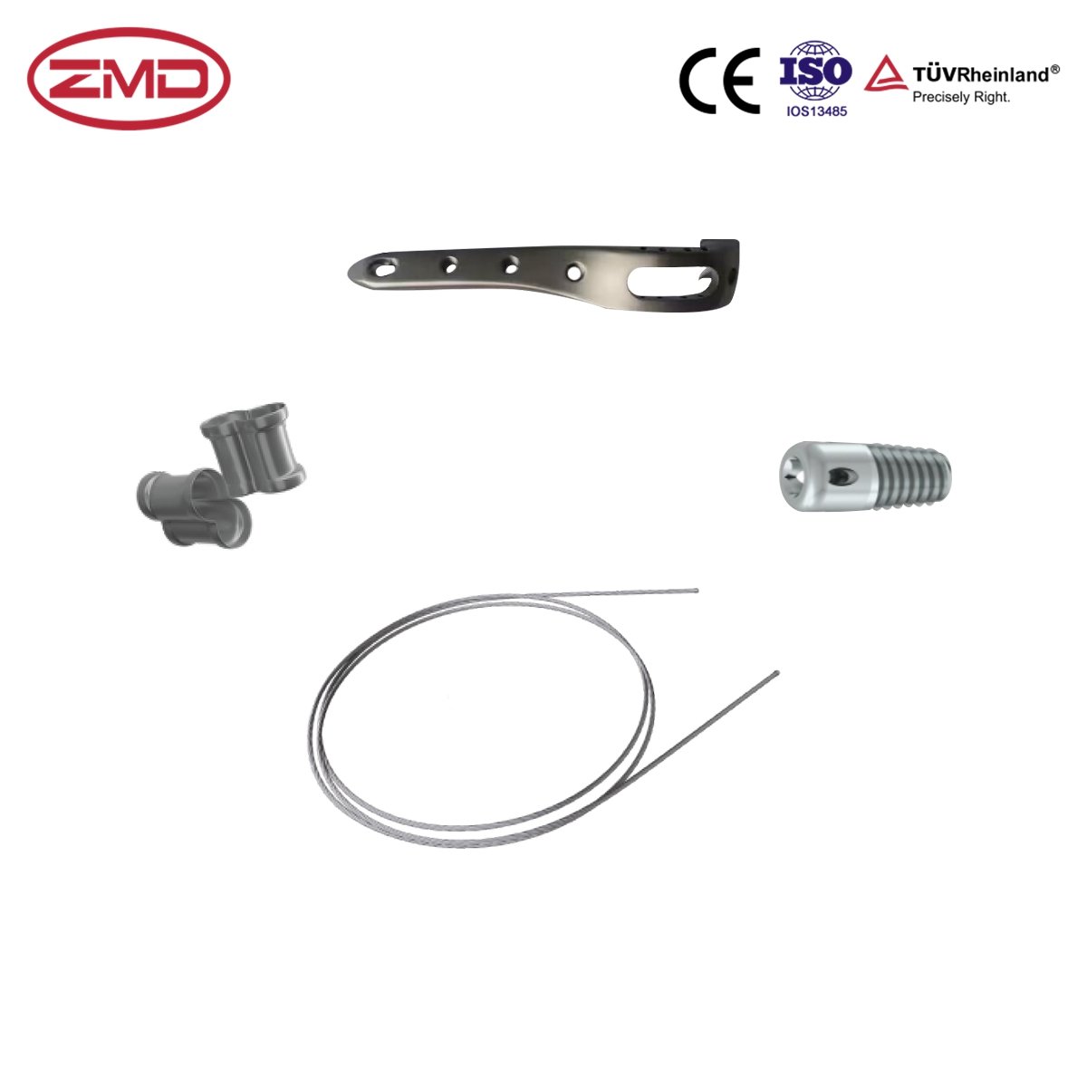 Femoral Proximal Hook Locking Plate - Pharmaceutical Company
