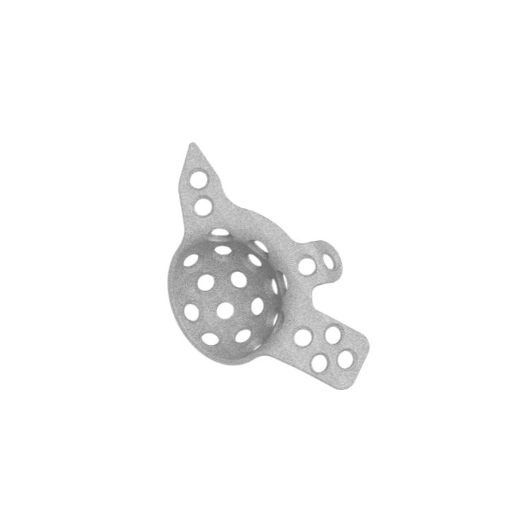AOS Antiprotrusio Cage - Pharmaceutical Company