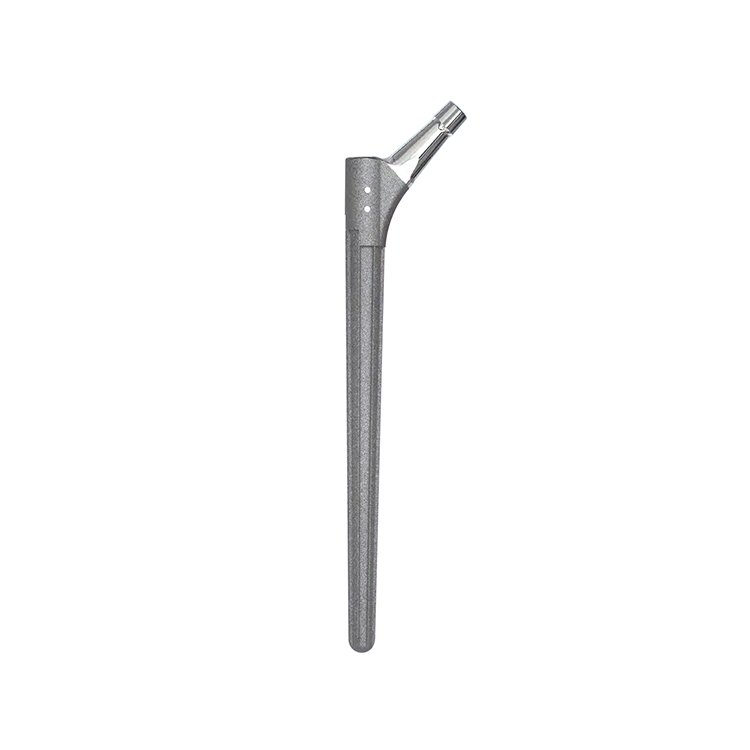 RSL® Revision Stem 135º - Pharmaceutical Company