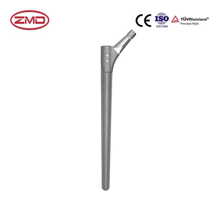 RSL® Revision Stem 135º - Pharmaceutical Company