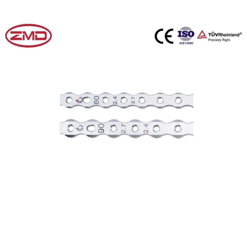 Medium Stainless Steel AO Locking Plate - Pharmaceutical Company