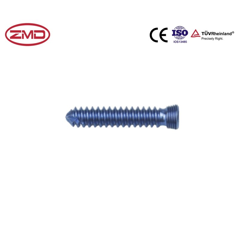 AO-3.5mm Titanium Locking Pin, T15 Cross-Head - Pharmaceutical Company